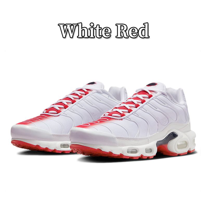 Tn Terascape Plus Running Shoes Men Women Tns Tnplus Utility Clean ...