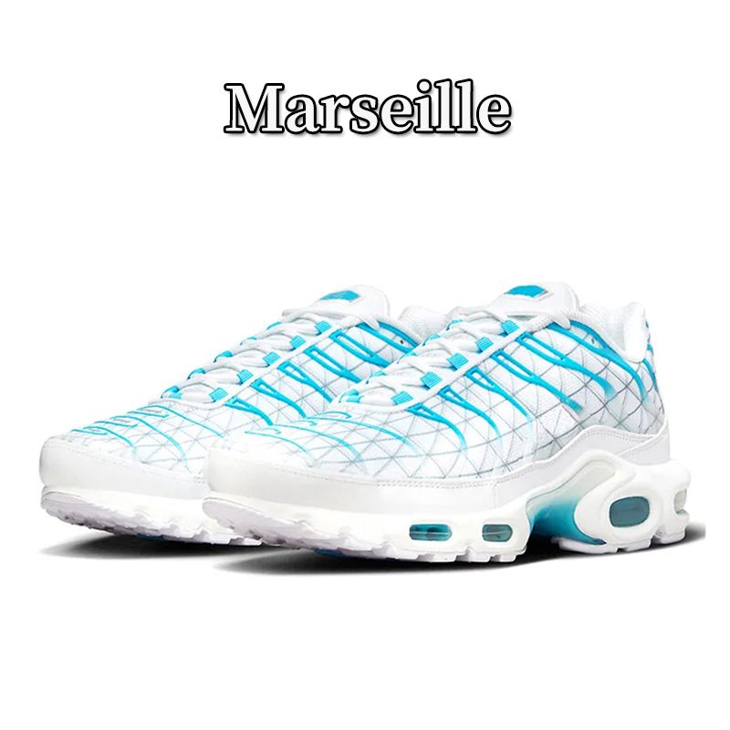 Tn Terascape Plus Running Shoes Men Women Tns Tnplus Utility Clean ...