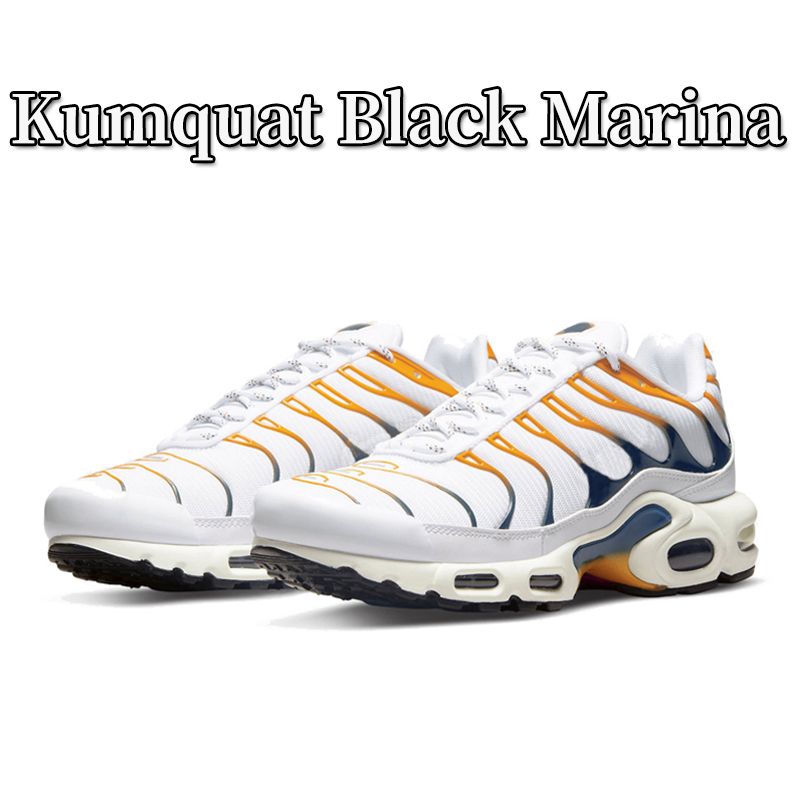 Tn Terascape Plus Running Shoes Men Women Tns Tnplus Utility Clean ...
