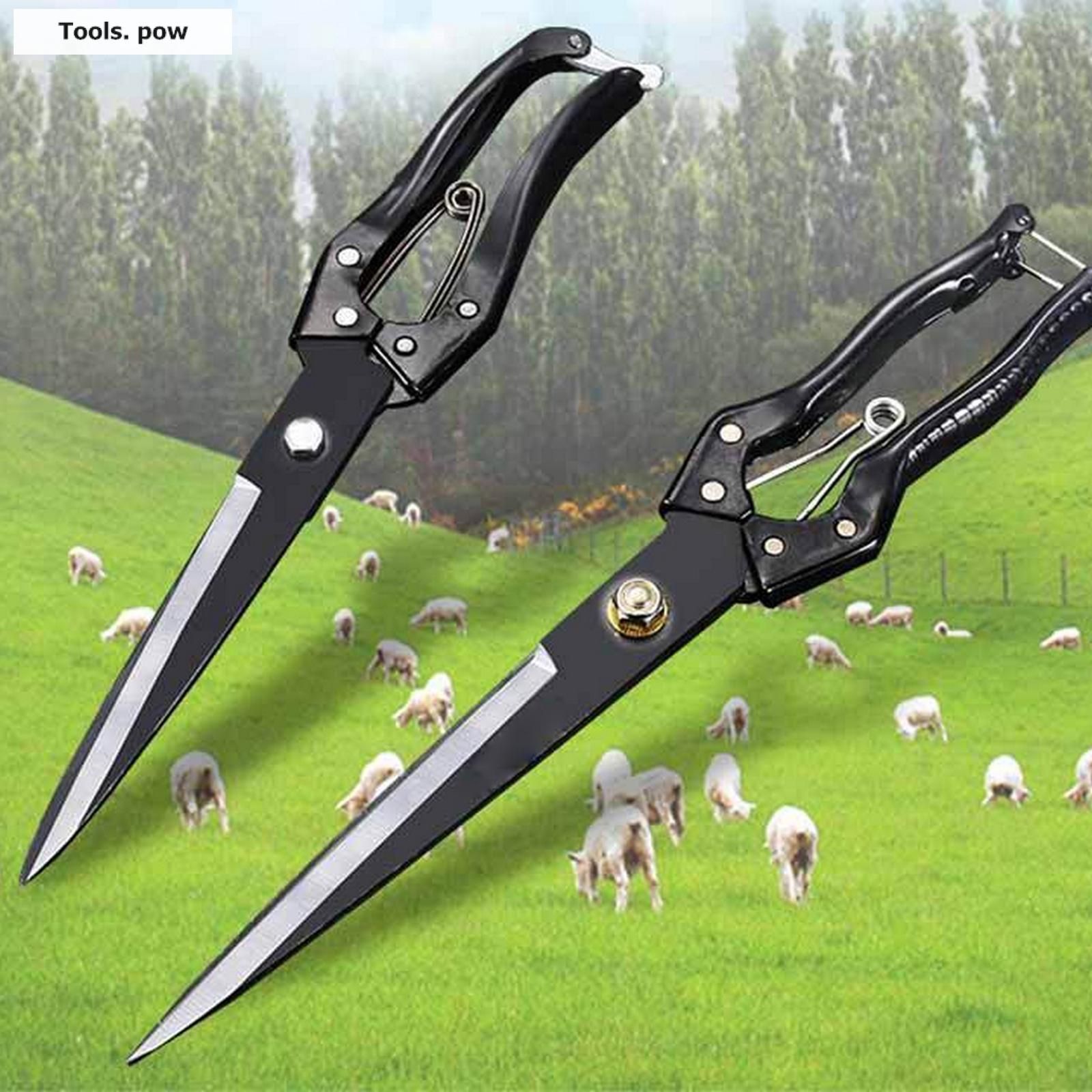 Sheep Shearing Tools