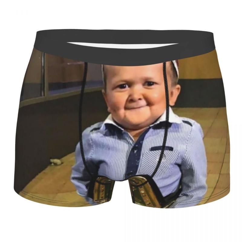 Underpants Male Cool Hasbullah Magomedov Underwear Boxer Briefs Men ...