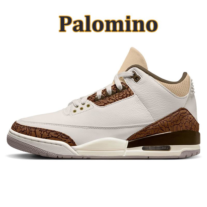 Jumpman 3 Basketball Shoes Men 3s Sneakers Fire Red Wizards Lucky Green ...