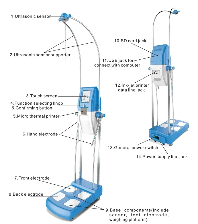 Máquina Láser Cuerpo Bia Composición Analizador Detector Gimnasio Hogar ...