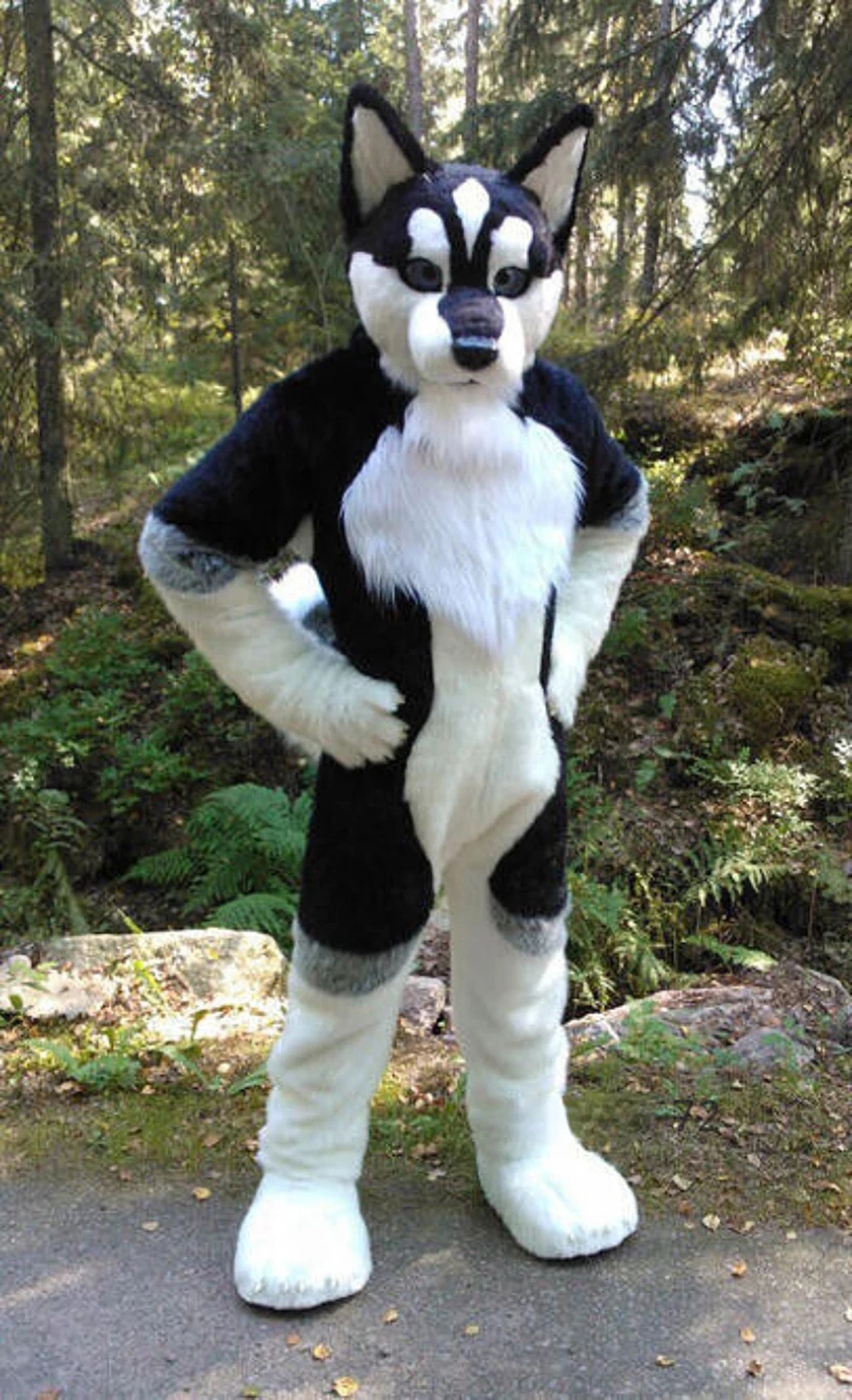 Realistic Husky Fursuit