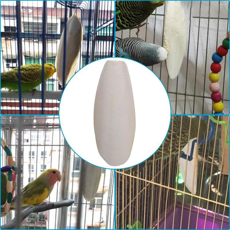 Cuttlefish Bone For Birds