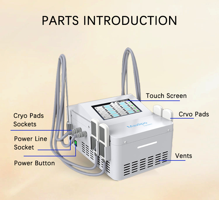 2IN1 Portable 4 Handles Cryo Ems Freezing Fat With Cooling Pads Body ...