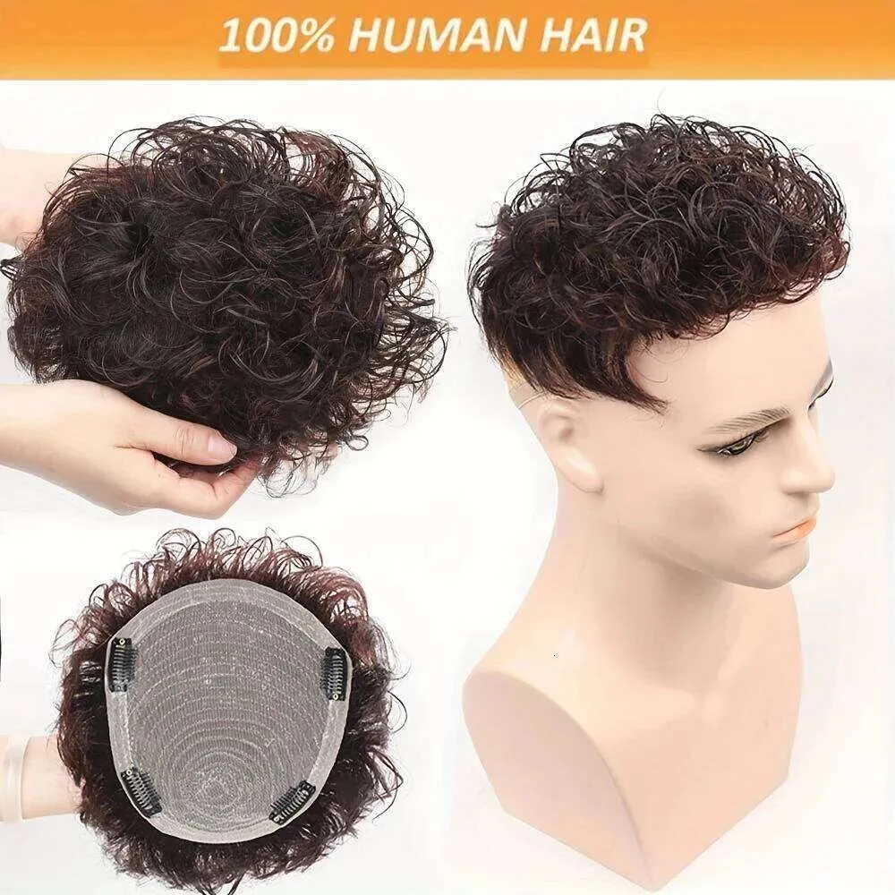 Men's 100% Human Hair Curly Wave Short Topper Wig Lightweight ...