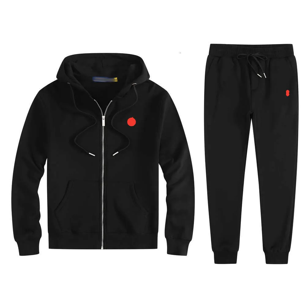 Ralpluarenity Mens Hoodie and Zipper Jacket Tracksuit - Casual ...