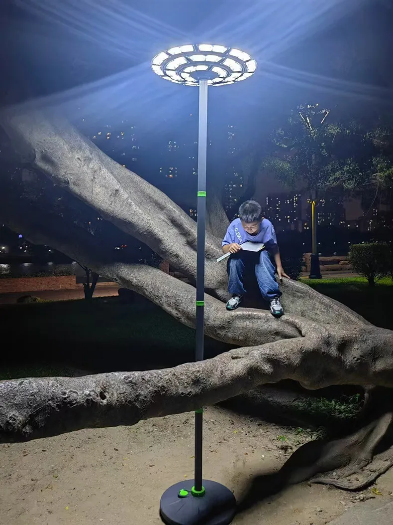 Solar Powered Outdoor Sensor Light with Motion Sensor and Polished ...