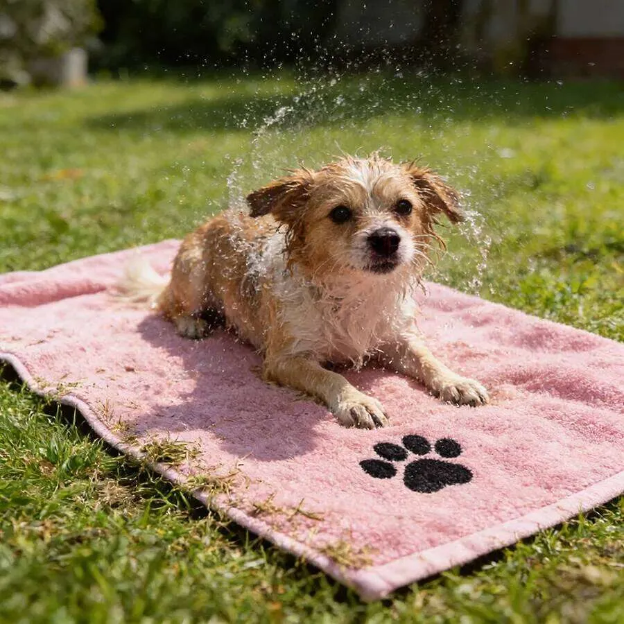 Microfiber Pet Bath Towels for Dogs and Cats, Soft Absorbent Quick-Dry ...