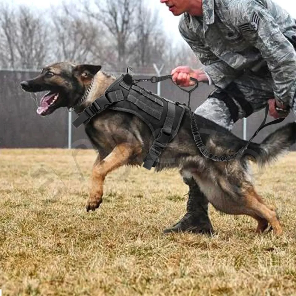 Adjustable Tactical Dachshund Harness Escape Proof... From Lanye186 ...