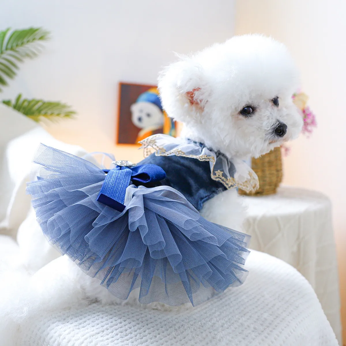 Luxury Velvet Dog Dress Princess Lace Tutu Skirt... From Lanye186, $11. ...