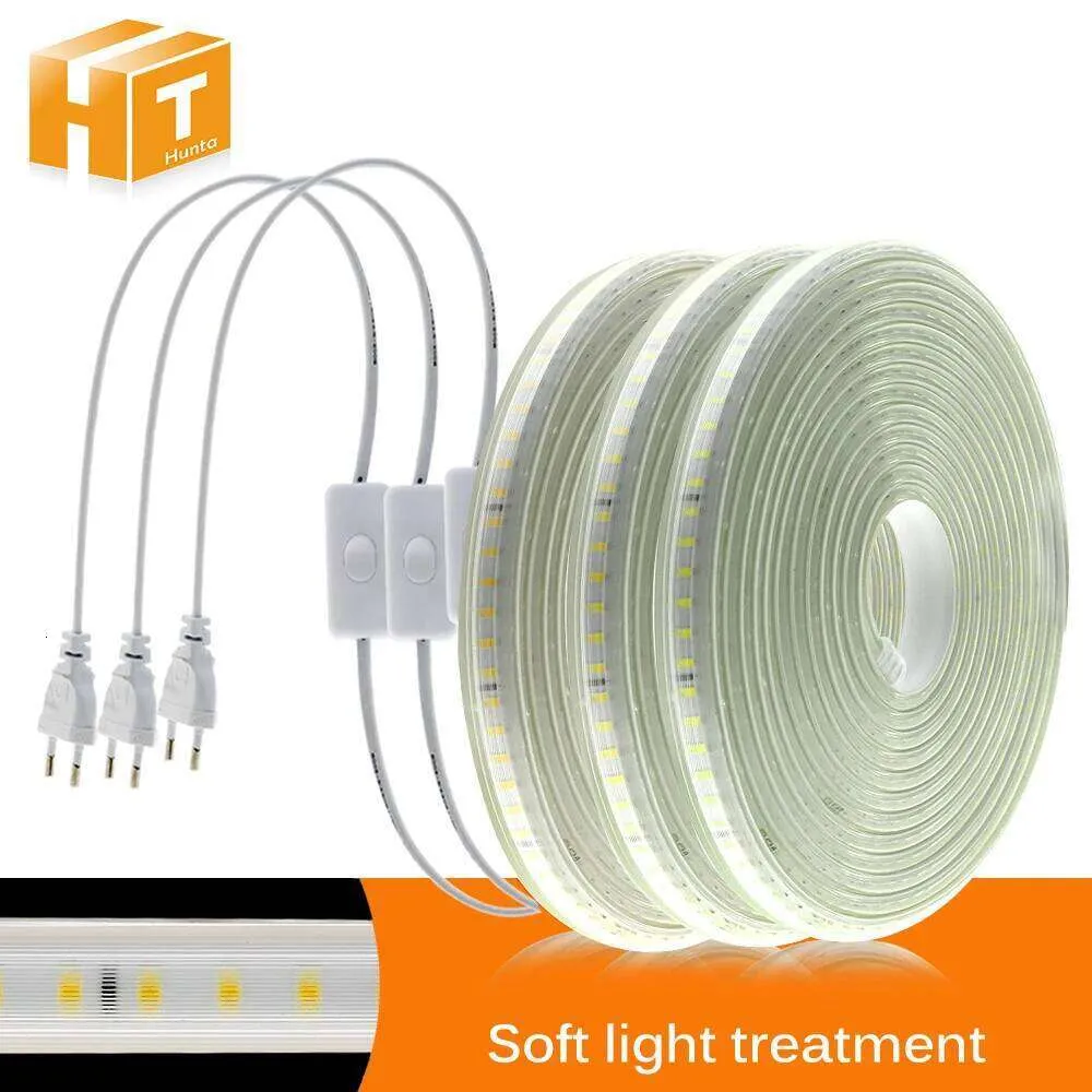 Waterproof Outdoor LED Strip Lighting 220V 120 LEDs Meter Flexible Soft ...