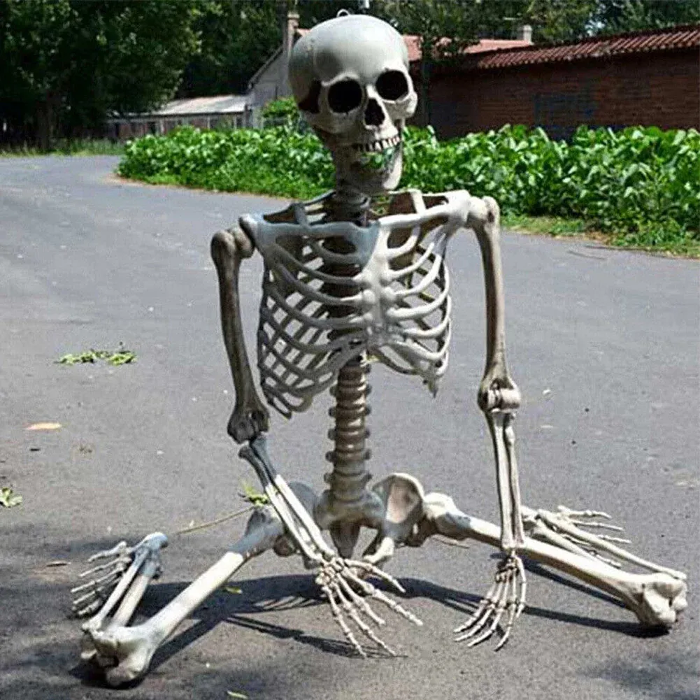 Poseable Full Size Human Skeleton Halloween Decoration 90CM Haunted ...