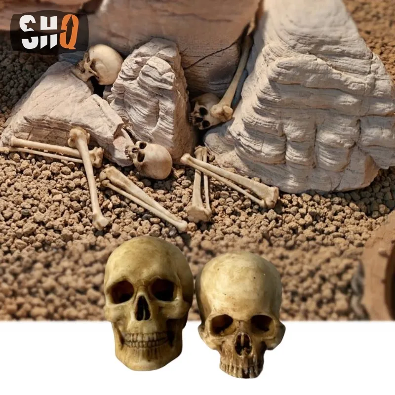 1/12 Scale Human Skeleton Skull Skull Head 3d Model Carving For ...