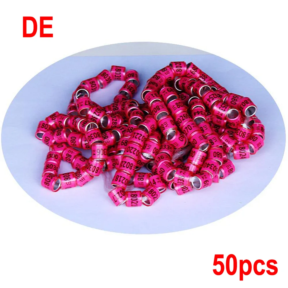 2024 Year Multicolor Pigeon Foot Ring With Word Foot Ring High Quality ...