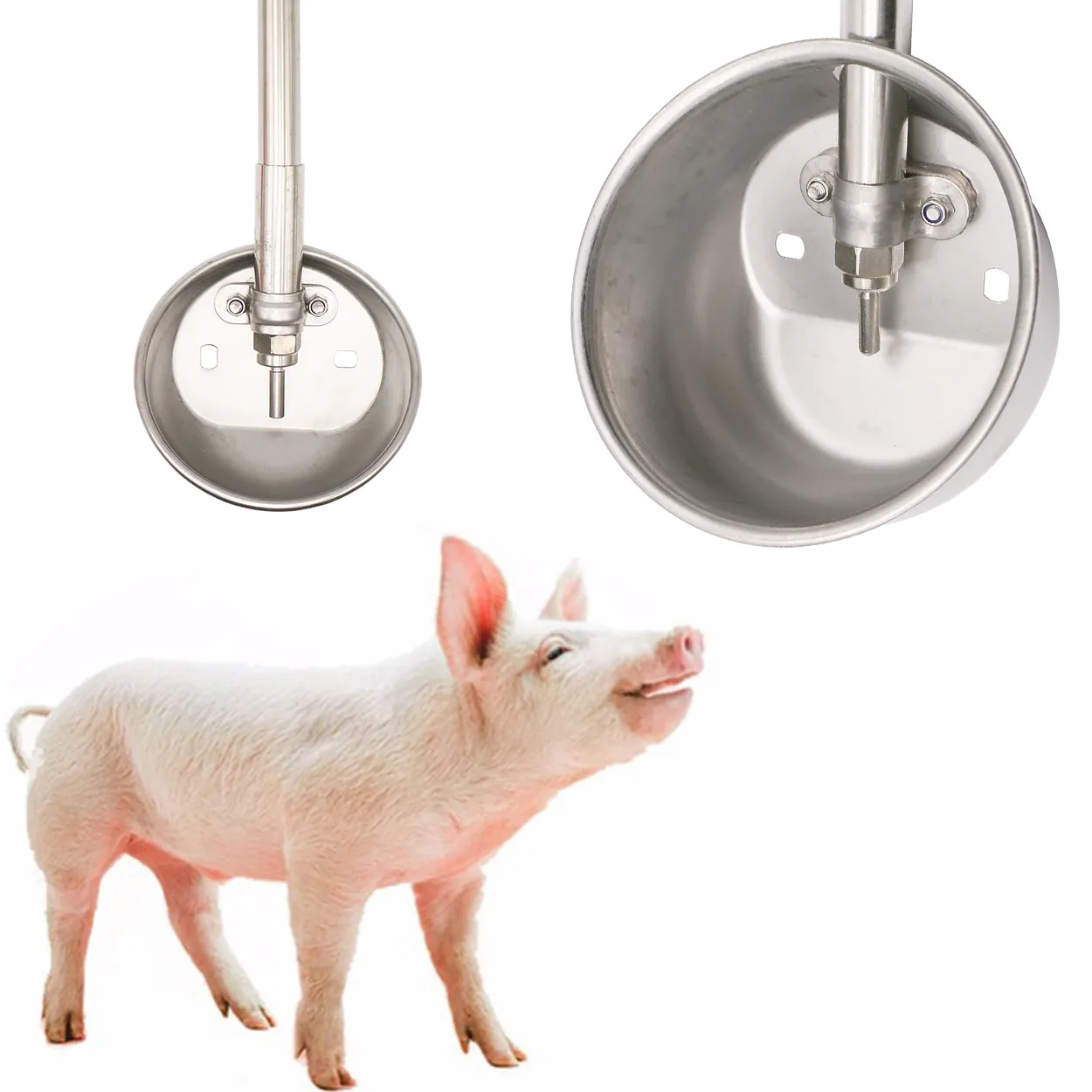 Metal Water Troughs For Pigs Stainless Steel Pig Troughs | High