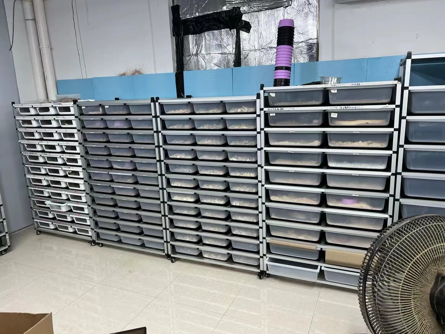 Premium Reptile Enclosure System: Ball Python Tub Cage Display Racks ...