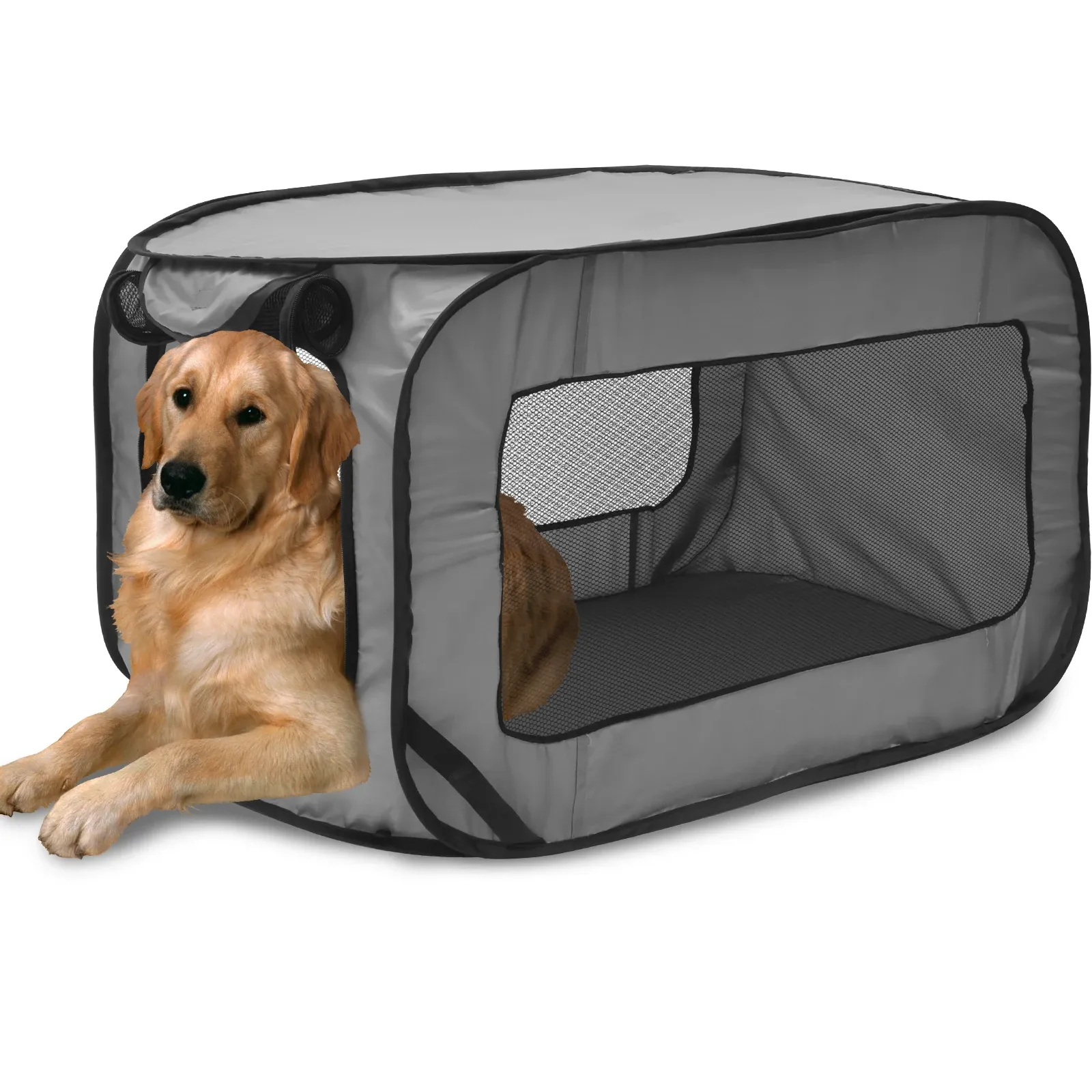 Medium Sized Dog Crate Foldable Pop Up Pet Kennel 36 Inch Dog Crate ...