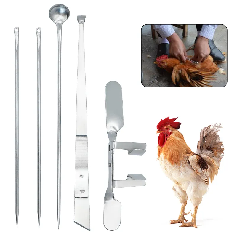Chicken Caponizing Kit: Professional Rooster Castration Tools for Adult ...