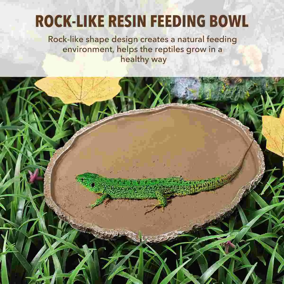 Durable Reptile Feeding Dish & Water Bowl for Tortoise & Terrarium ...