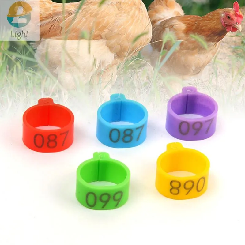 Wholesale Chicken Leg Rings Turkey Duck Identification Leg Bands ...