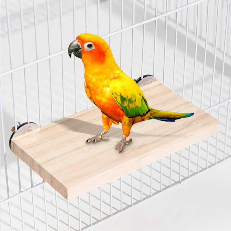 Wooden Pet Bird Stand Platform With Toys Parrot, Hamster, Gerbil Play ...