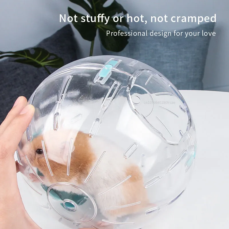 Small Pet Exercise Ball - Plastic Jogging Ball for Hamsters, Mice ...