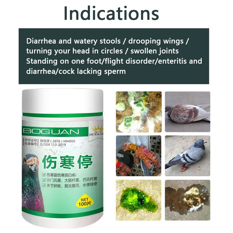 Wholesale Stop Pigeon Typhoid Fever With Salmonella Water Green Stool ...