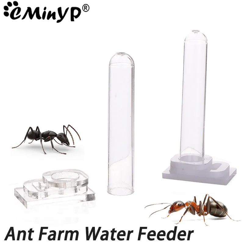 Clear Acrylic Ant Farm with Water Feeder - Insect Nest & Feeding Area ...