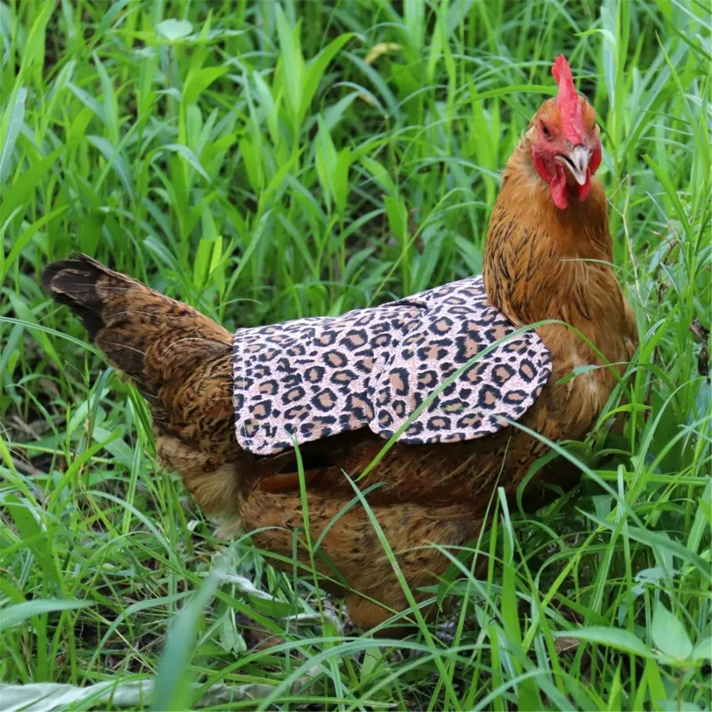 Wholesale Chicken Hen Saddle Apron: Feather Protection With Quilted ...