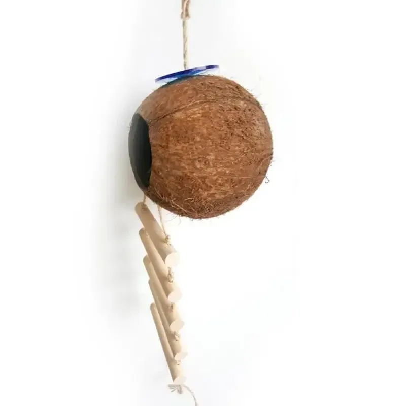 Coconut Shell Wooden Natural Parrot Nest Natural Bird Crawling House ...