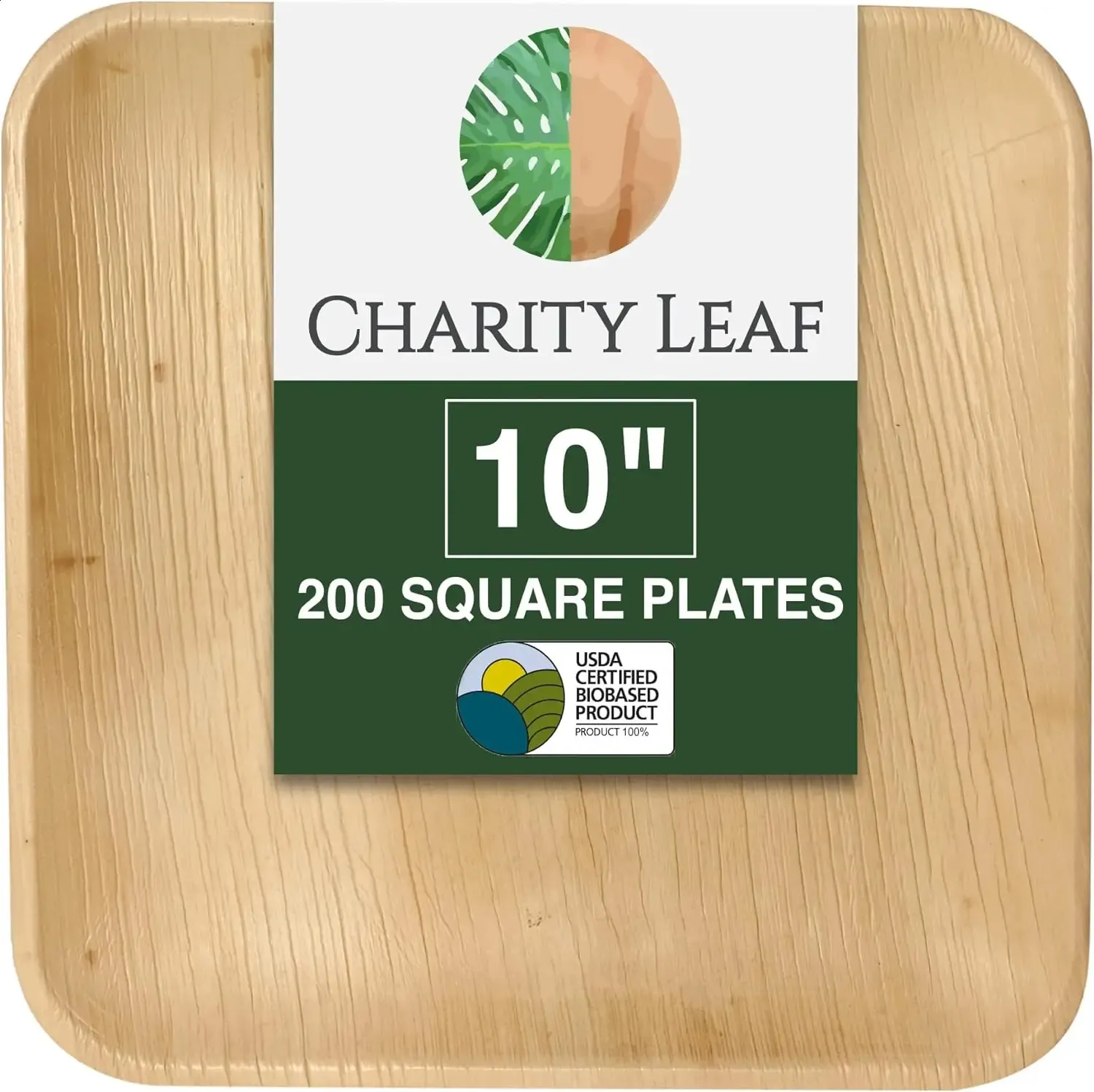200 Pack Heavy Duty 10 Square Palm Leaf Board For Royal Albert Hall ...