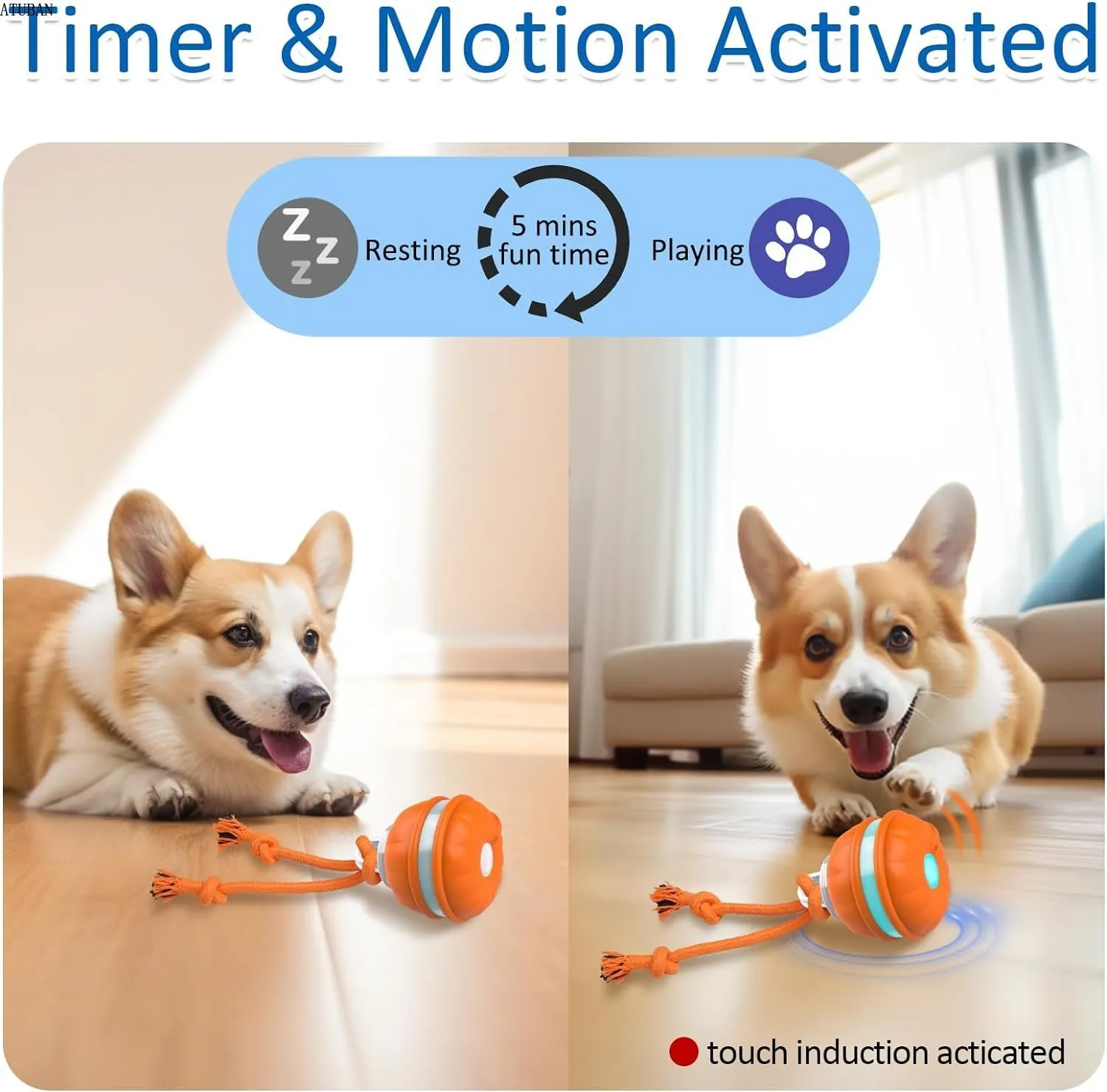 DHgate.com:Interactive Motion Activated Dog & Cat Ball Toy - Automatic ...