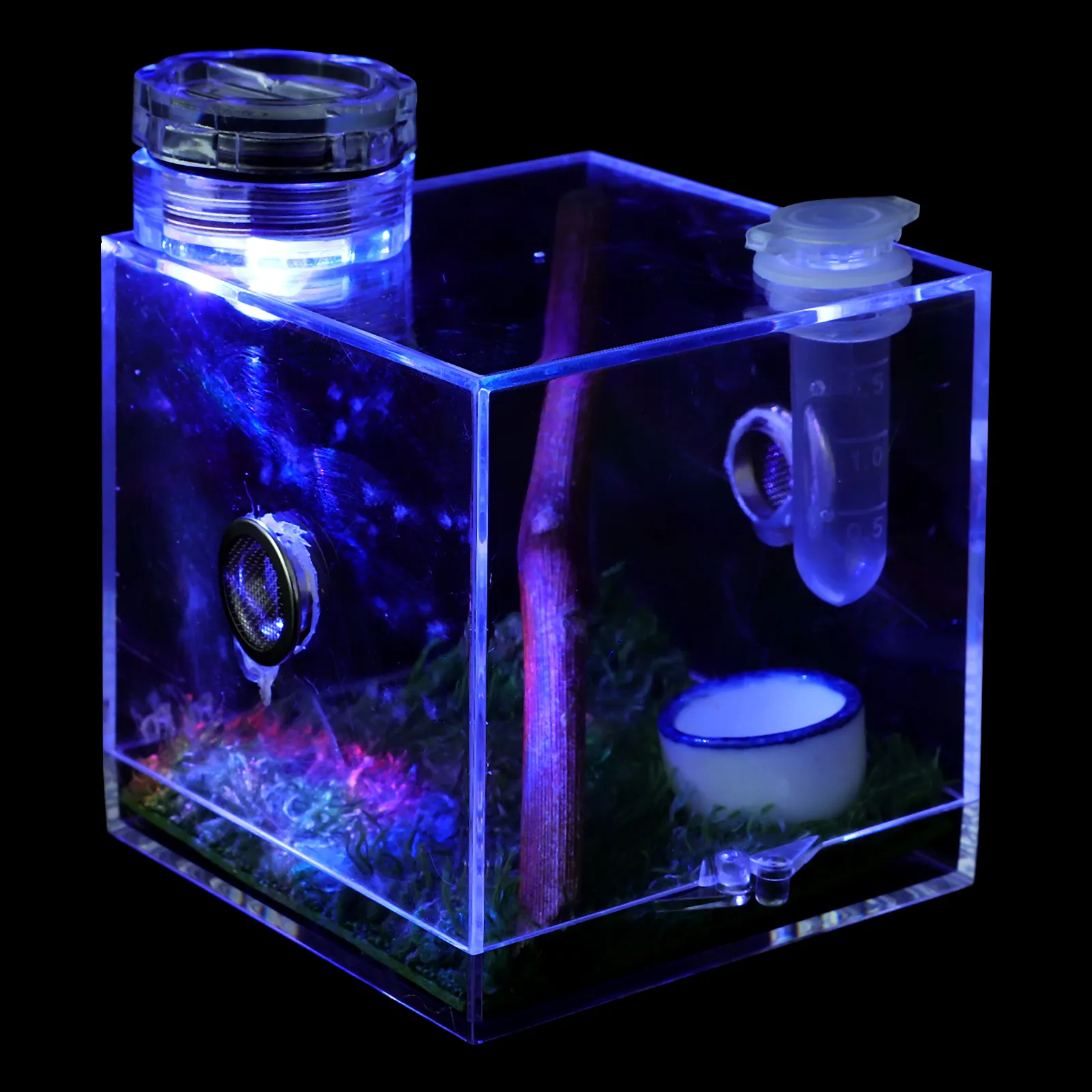 Spiderling Terrarium Acrylic Breeding Box For Jumping Spiders, Small ...