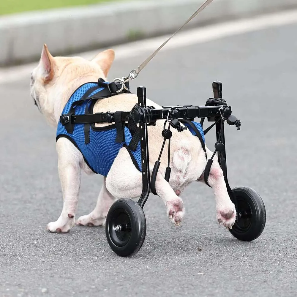 Small Dog Wheelchair For Back Legs, Adjustable Dog... From Petchains ...