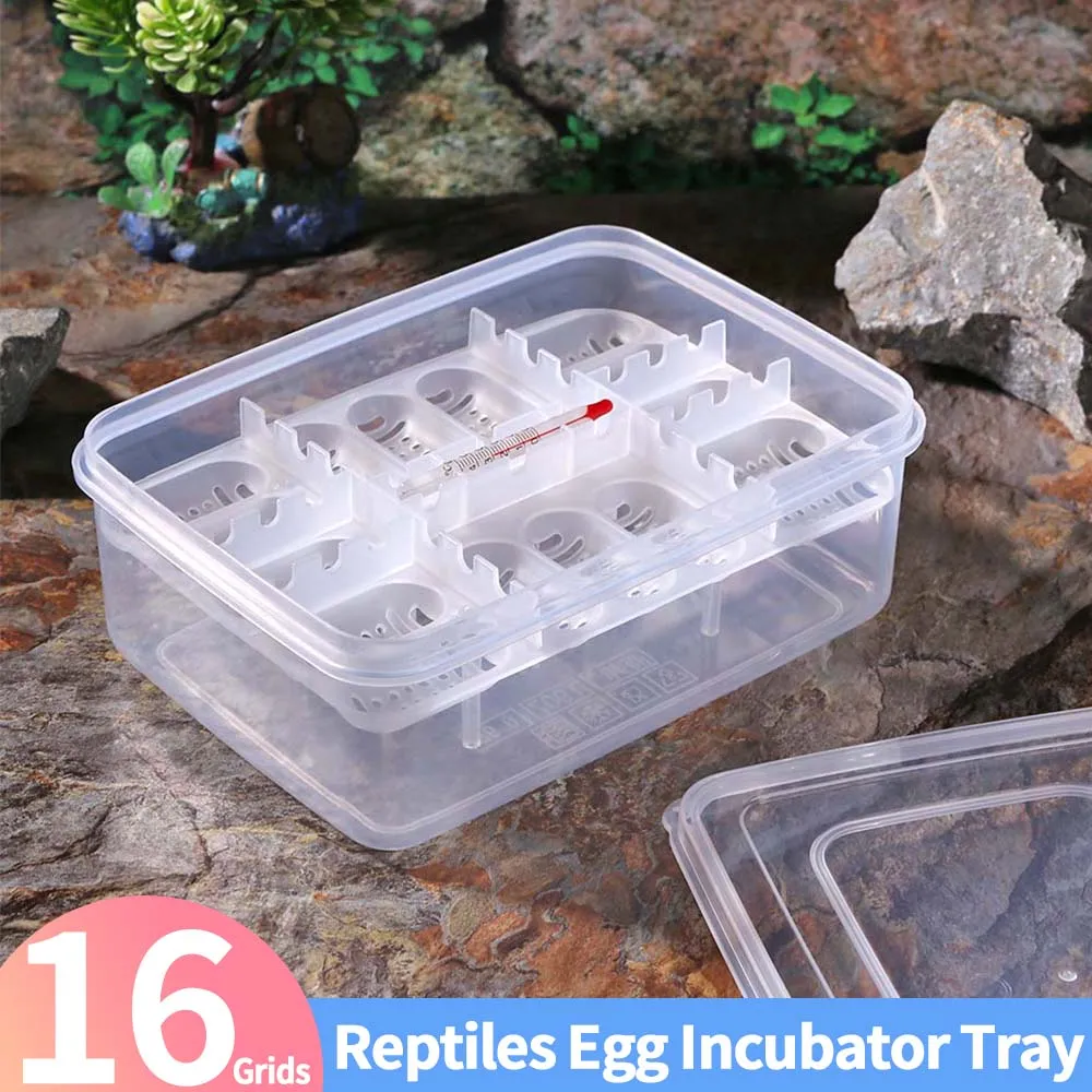 Reptile Incubator Egg Hatching Tray 16 Grids DIY Hatch Box For Snake ...