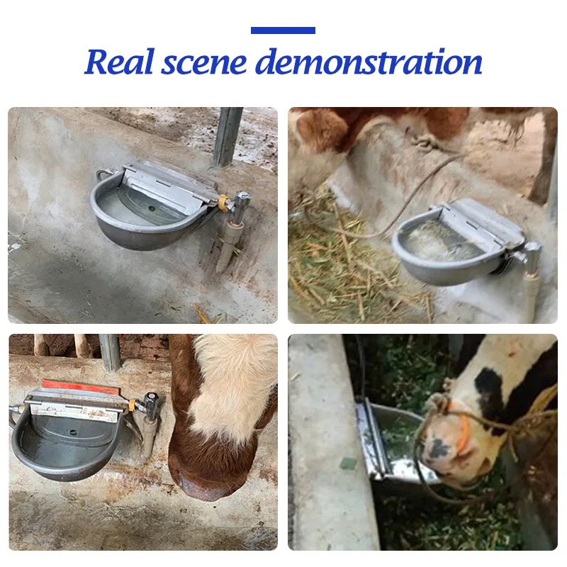 Wholesale Stainless Steel Cow Outdoor Dog Water Trough Set 5 Types With ...