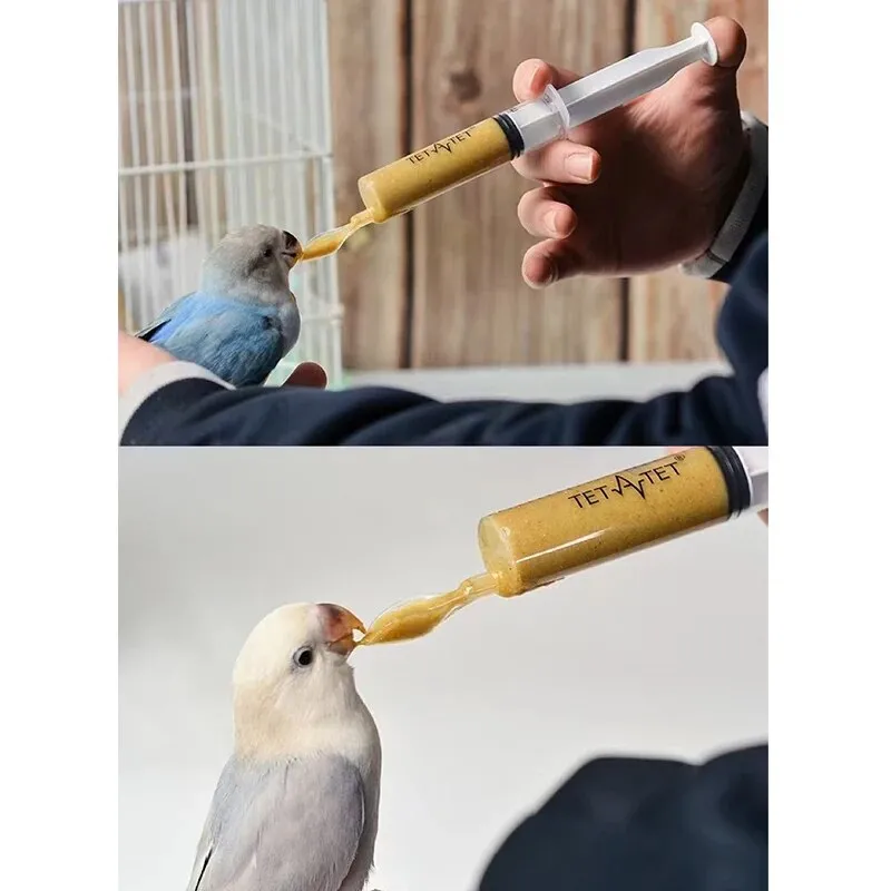 4 Pack Bird Feeding Needles - 20ml Syringe, Spoon & Manual Feeder for ...