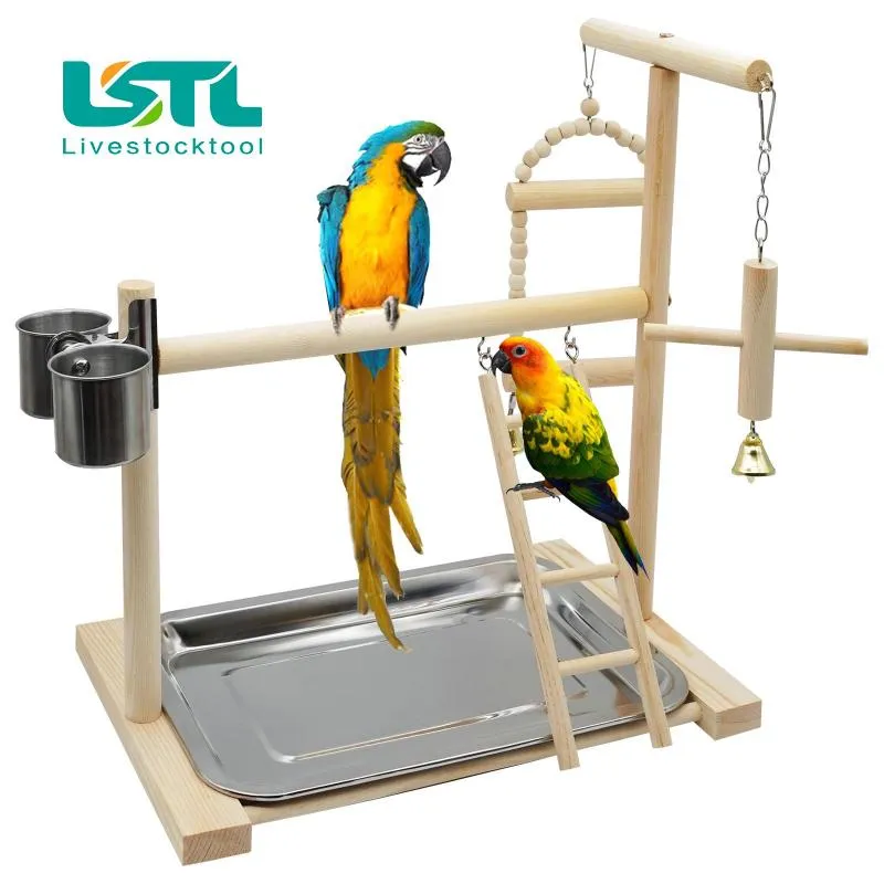 Playstand D'oiseau En Bois: Terrain De Jeu Parrot Coloré, Gymnase D'activité De Perchoir Pour ...