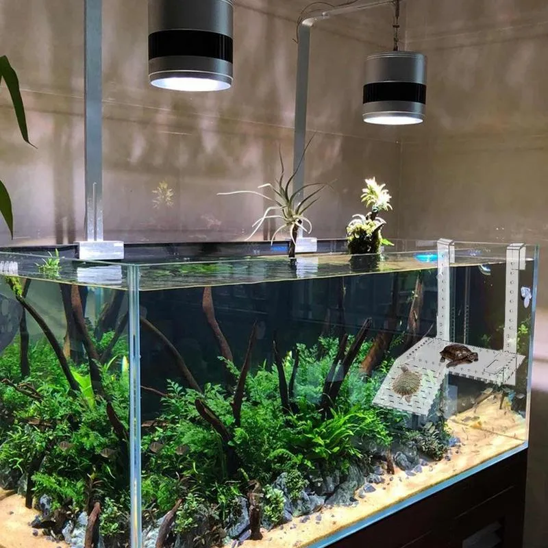 DHgate.com:Acrylic Turtle Basking Platform - Hangable Reptile Resting ...