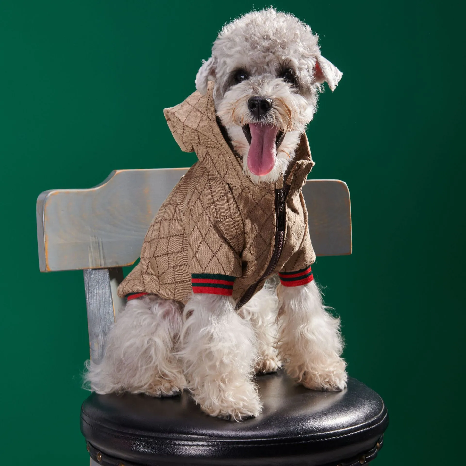 Designer Dog Clothes Warm Dog Apparel Fashion Hoodies... From Dggestore ...