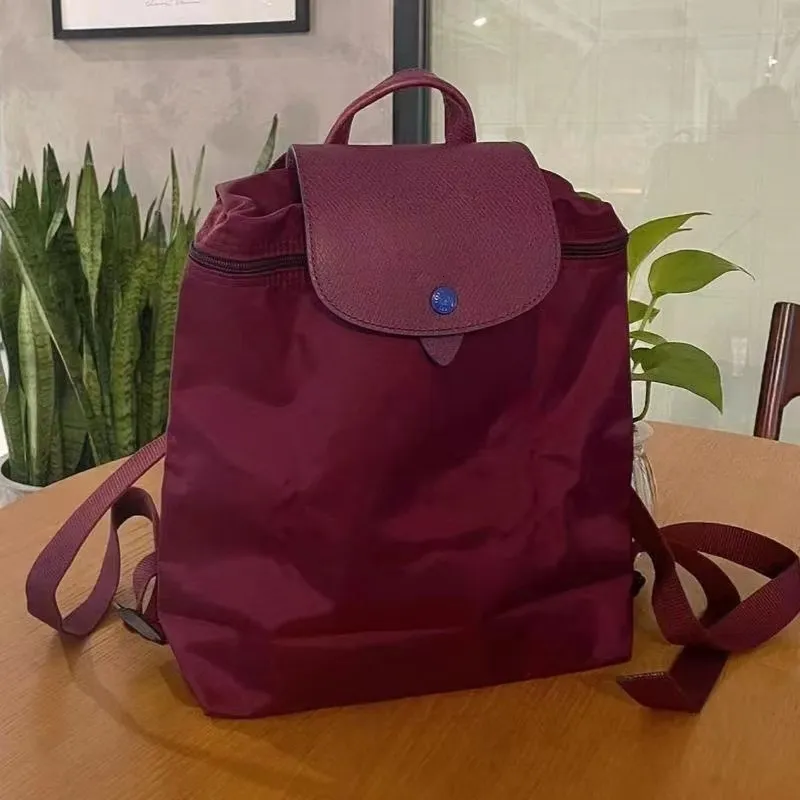 Water-Resistant Nylon Backpack - Foldable Lightweight Designer Shoulder ...