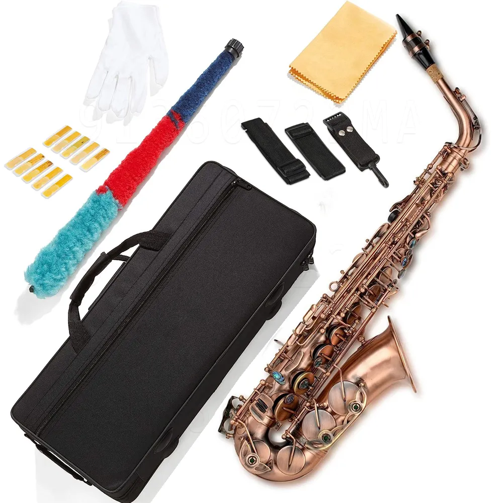 Professional AS802 Eb Alto Saxophone Brass Body, Nickel Surface Antique ...