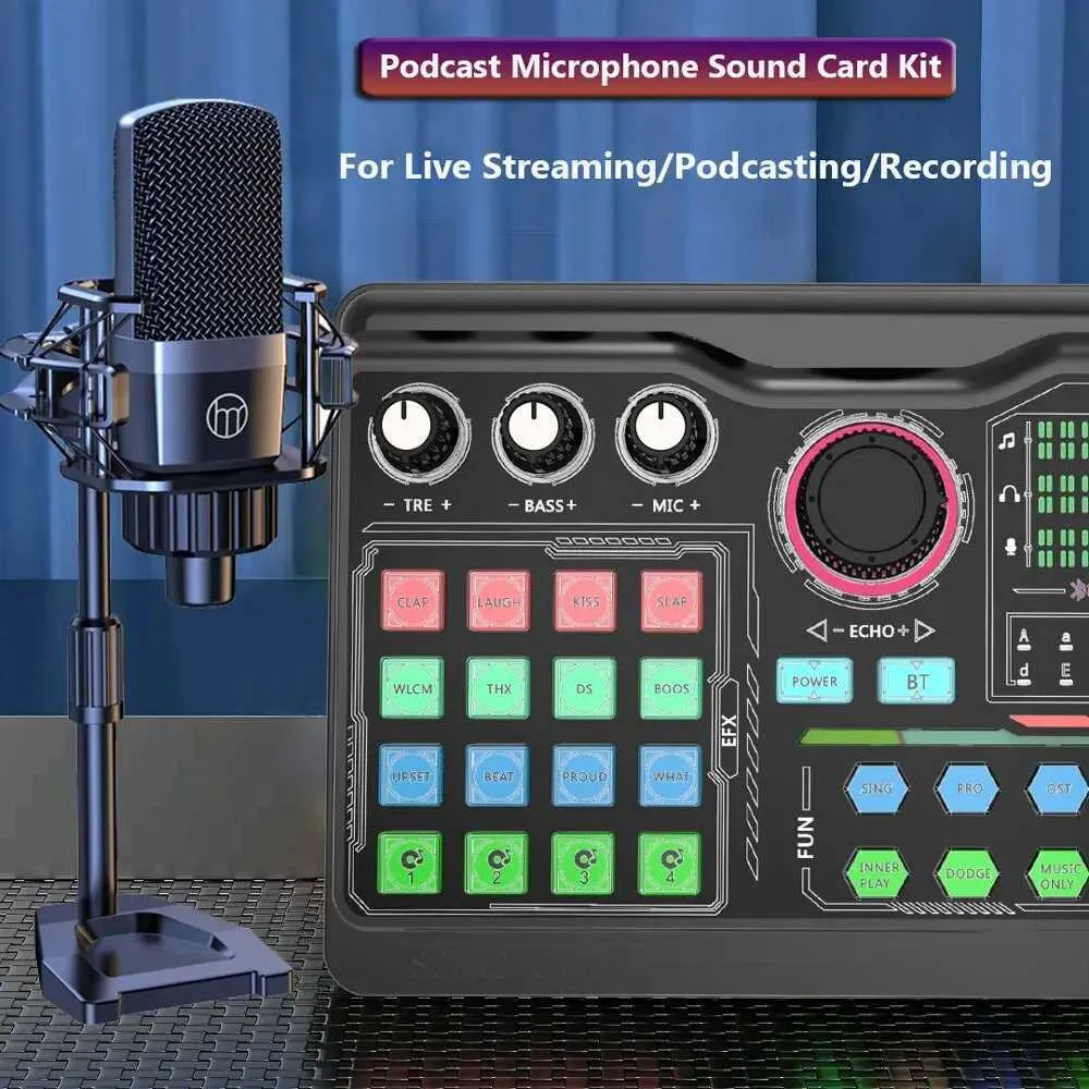 Professional Recording Microphone PC Kit: Sound Card Included - Ideal ...