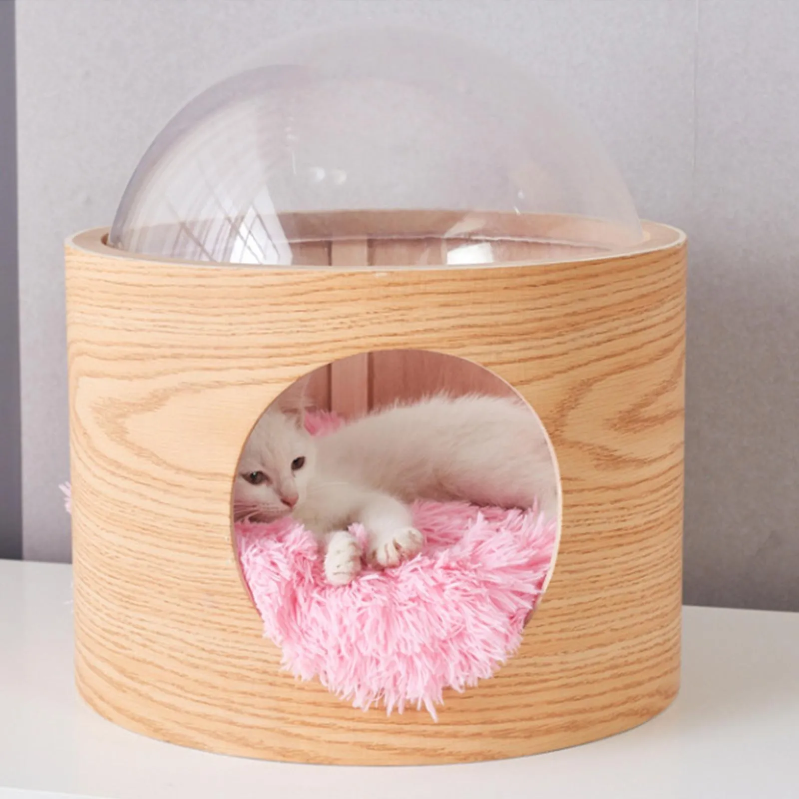 Cozy Dome Cat Bed with Clear Space Capsule - Window Perch DIY Cover ...