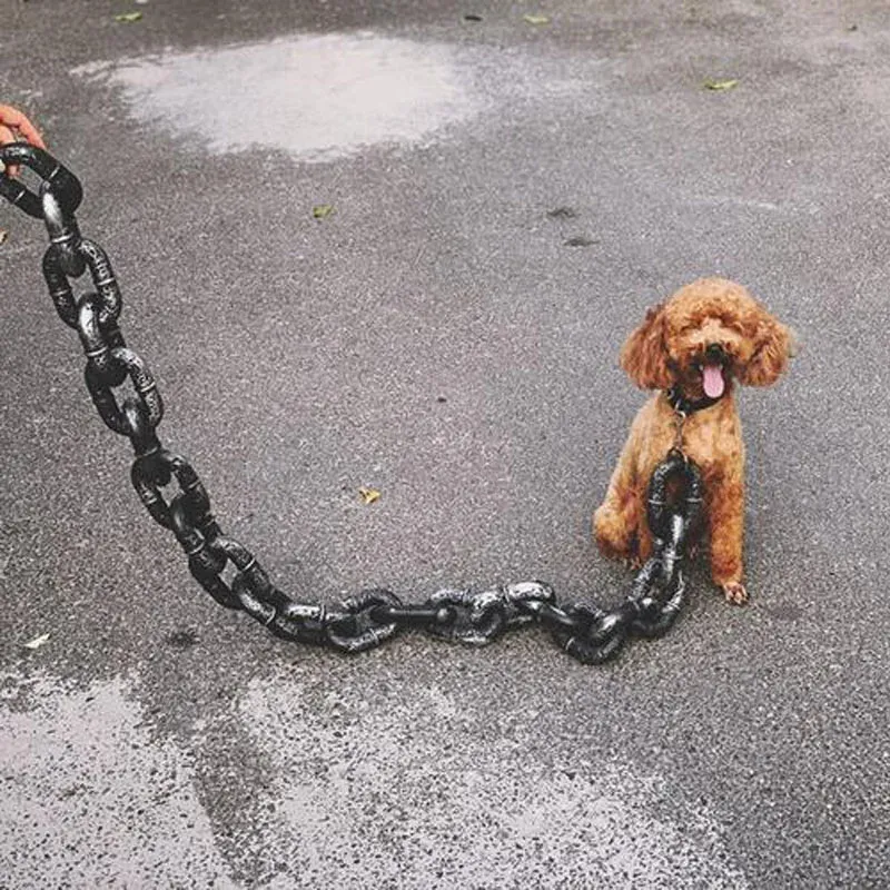 Chain Dog Harness: Durable Simulation Iron Chain With Plastic Thick ...