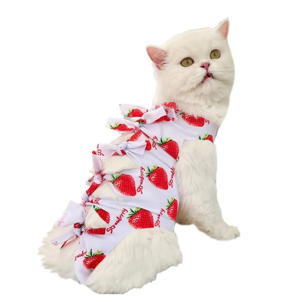 Fruit Print Cat Suit: Soft, Breathable & Comfy! Perfect for Neutering ...