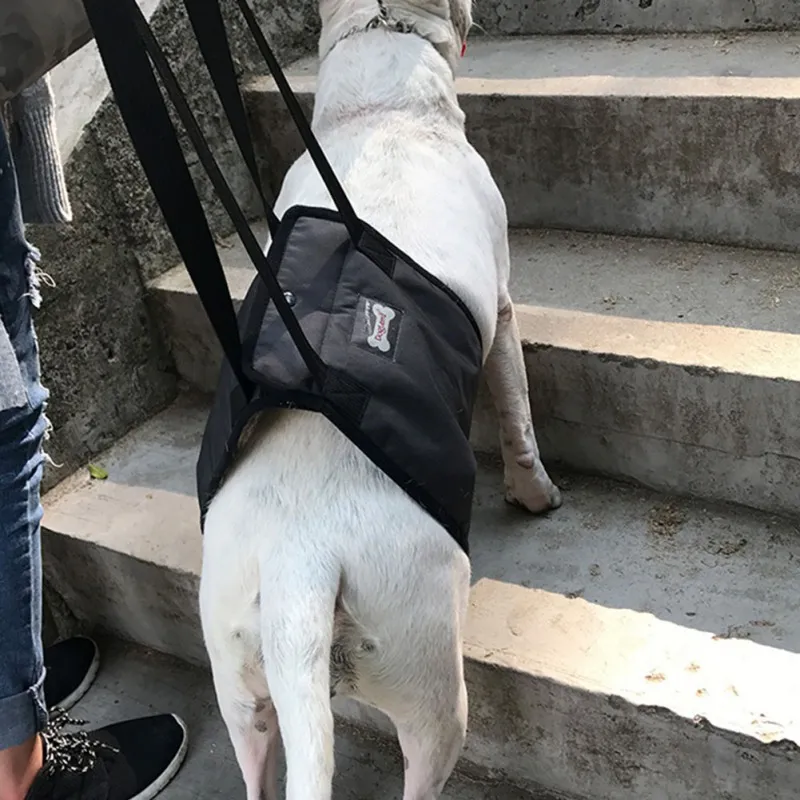 Bulk Doggie Sling Adjustable Dog Lift Sling Harness For Back Legs Pet ...