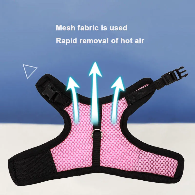 Rabbit Harness And Leash For Walking Escape Proof - Cute Carrot Pattern ...